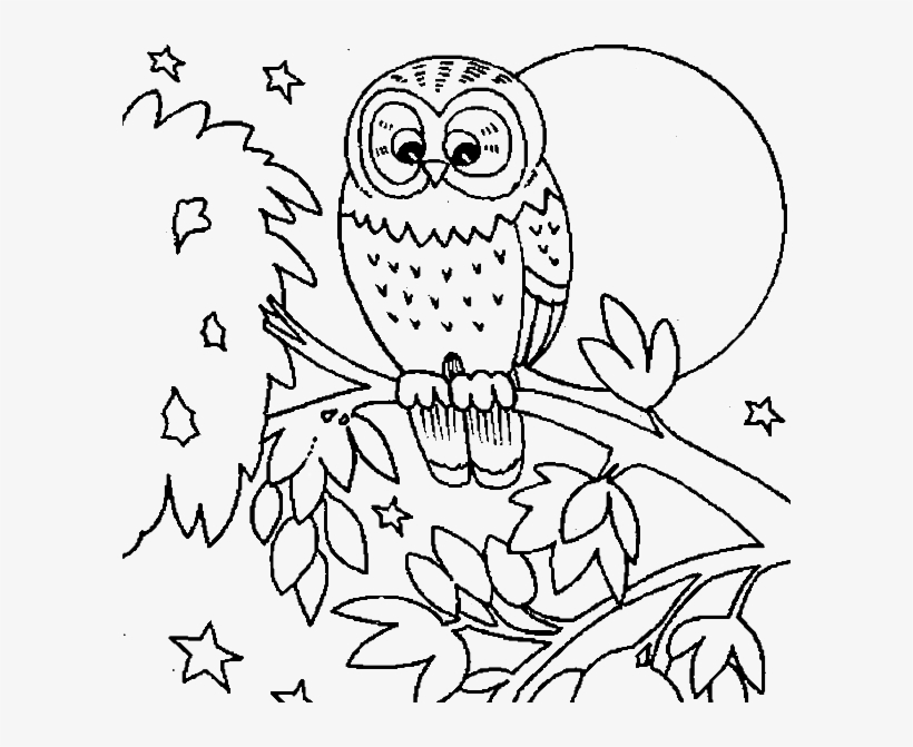 Owl Colouring Sheets Cute Owl Coloring Pages Getcoloringpages - Owls ...