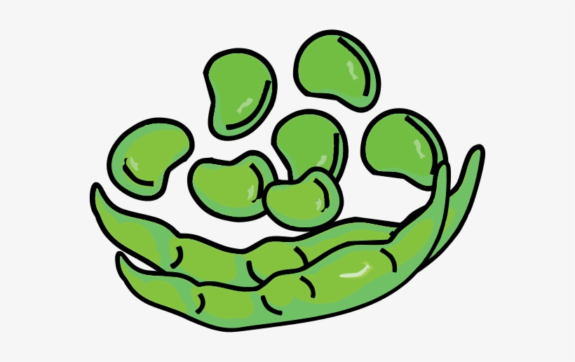 Broad Bean - Broad Bean Icon Png - Free Transparent PNG Download - PNGkey