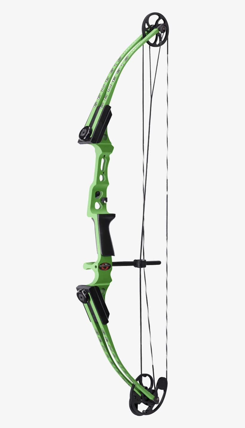Learn More - Compound Bow - Free Transparent PNG Download - PNGkey