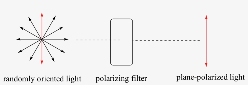 A Beam Of Plane-polarized Light, When Passed Through - Plane Polarised ...