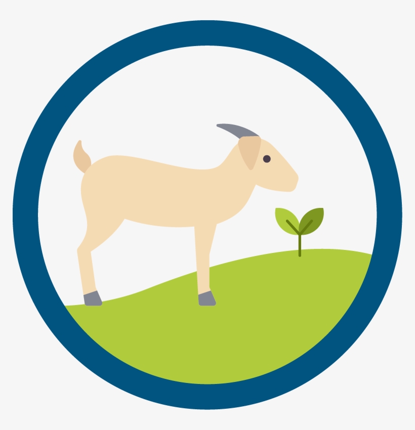 Tapestry Expeditionary Learning Icon - Free Transparent PNG Download ...