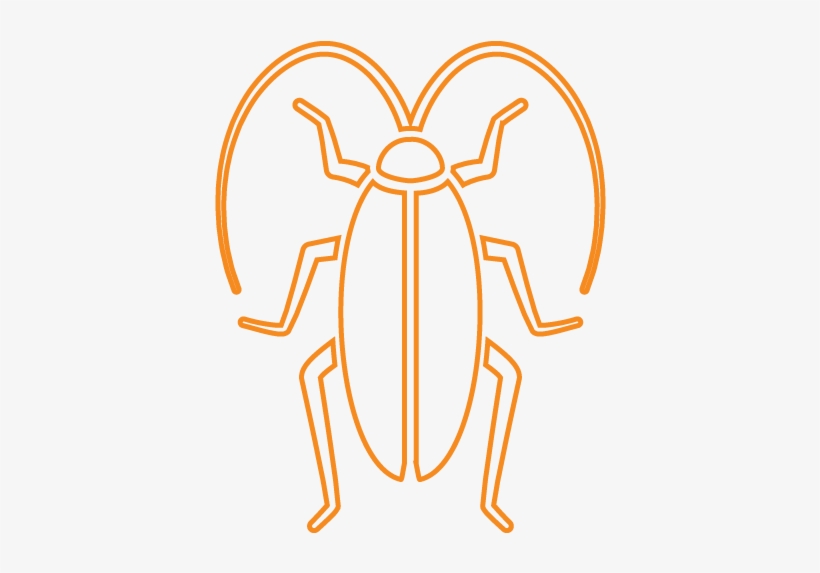 Cockroach - Weevil - Free Transparent PNG Download - PNGkey