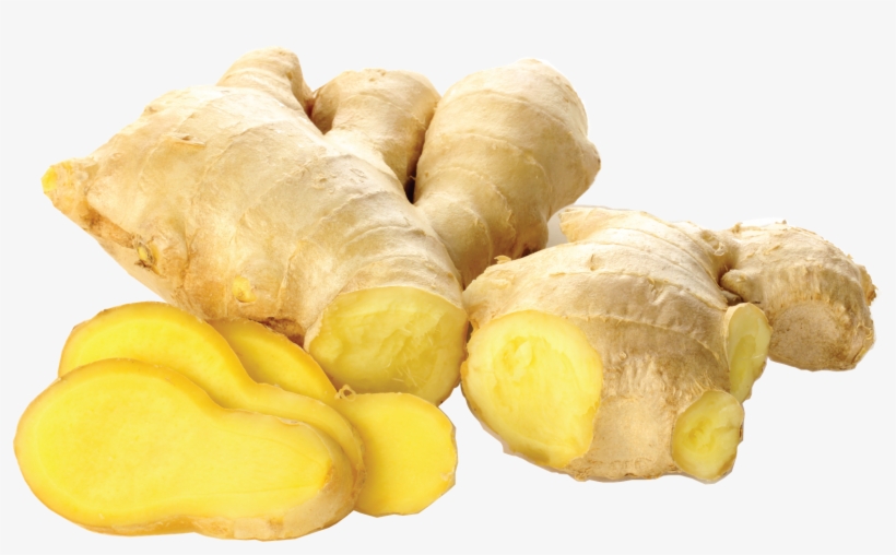 Ginger Root - Free Transparent PNG Download - PNGkey