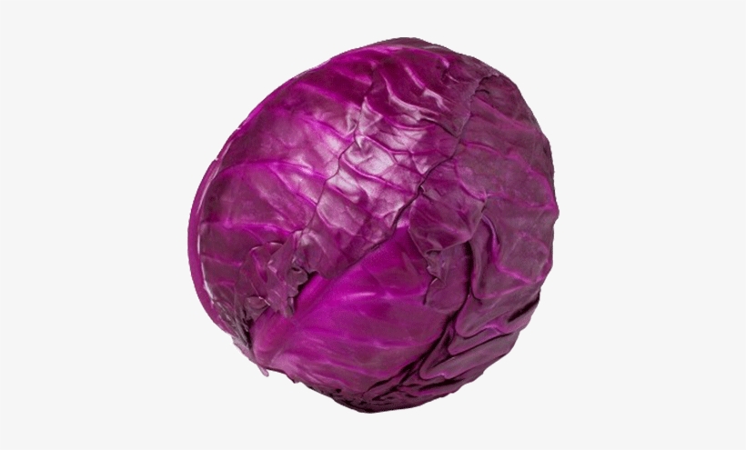 Red Cabbage - Free Transparent PNG Download - PNGkey