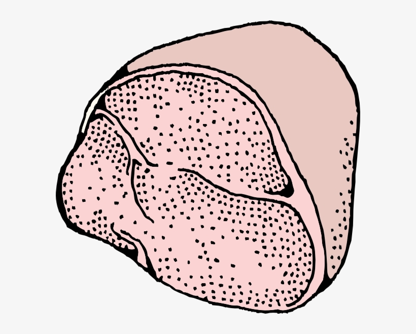 How To Set Use Ham Svg Vector - Free Transparent PNG Download - PNGkey