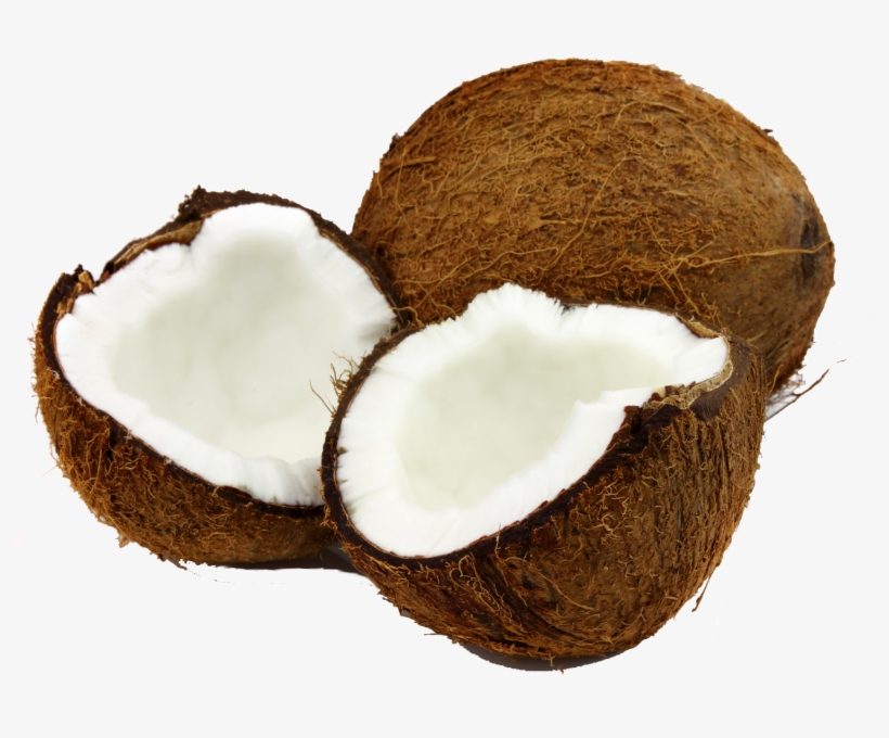 Coco Bruno Junges - Imagens De Coco Seco Png - Free Transparent PNG ...
