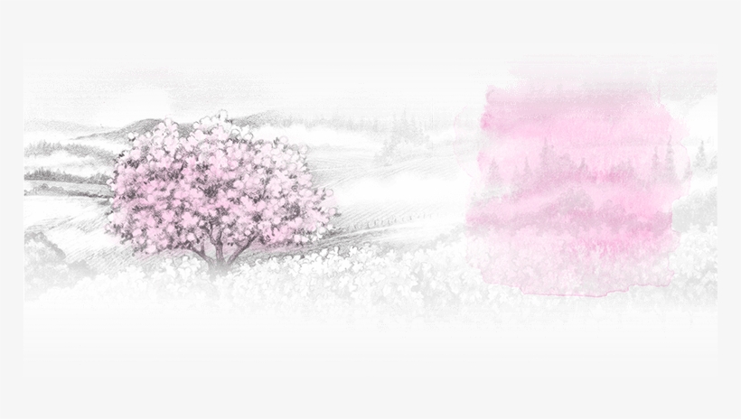 And So It Is With Smoke Tree Wines - Cherry Blossom - Free Transparent ...