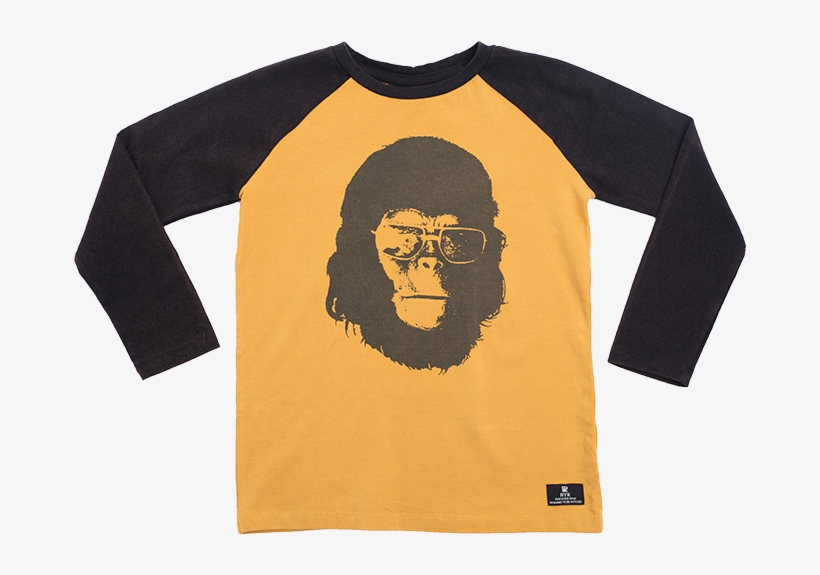 Ryk W19 - Planet Of The Apes Sunglasses - Free Transparent PNG Download ...