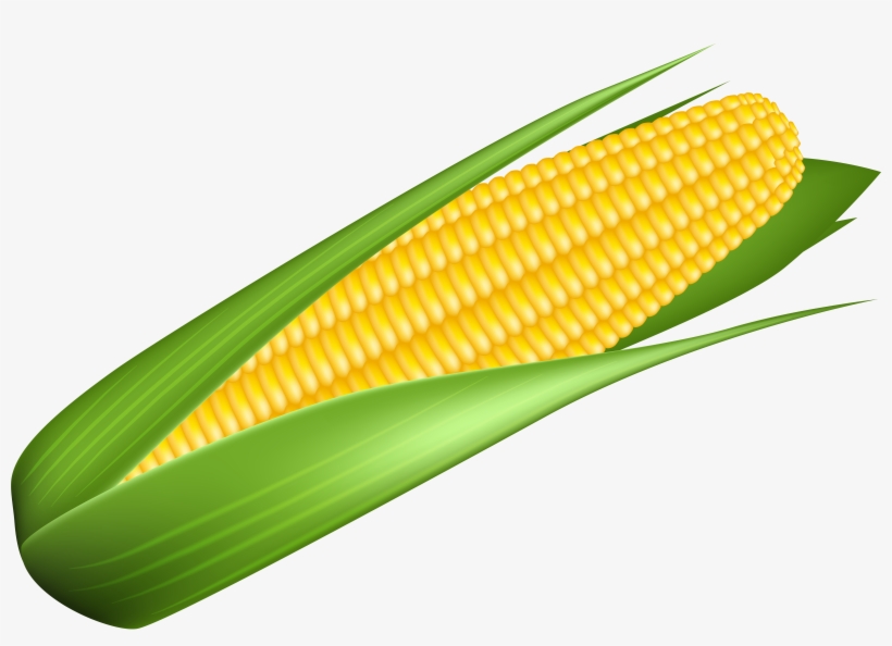 View Full Size - Corn Kernels - Free Transparent PNG Download - PNGkey