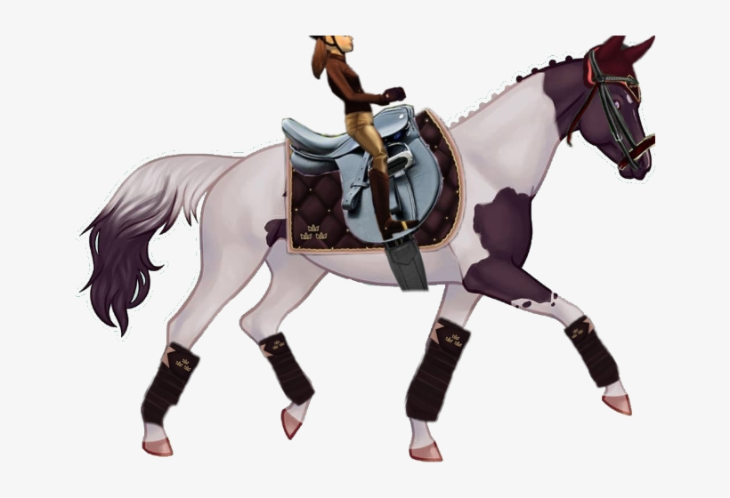 Stallion - Free Transparent PNG Download - PNGkey