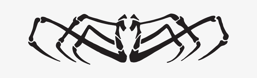 View, Spider, Body, Side, Art, Legs, Arachnid - Spider Vector - Free ...