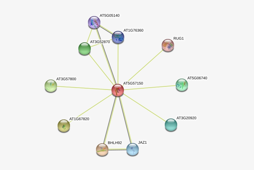 Circle - Free Transparent PNG Download - PNGkey