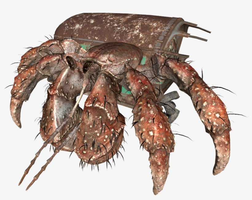 Hermit Crab - Fallout 4 Hermit Crab - Free Transparent PNG Download ...