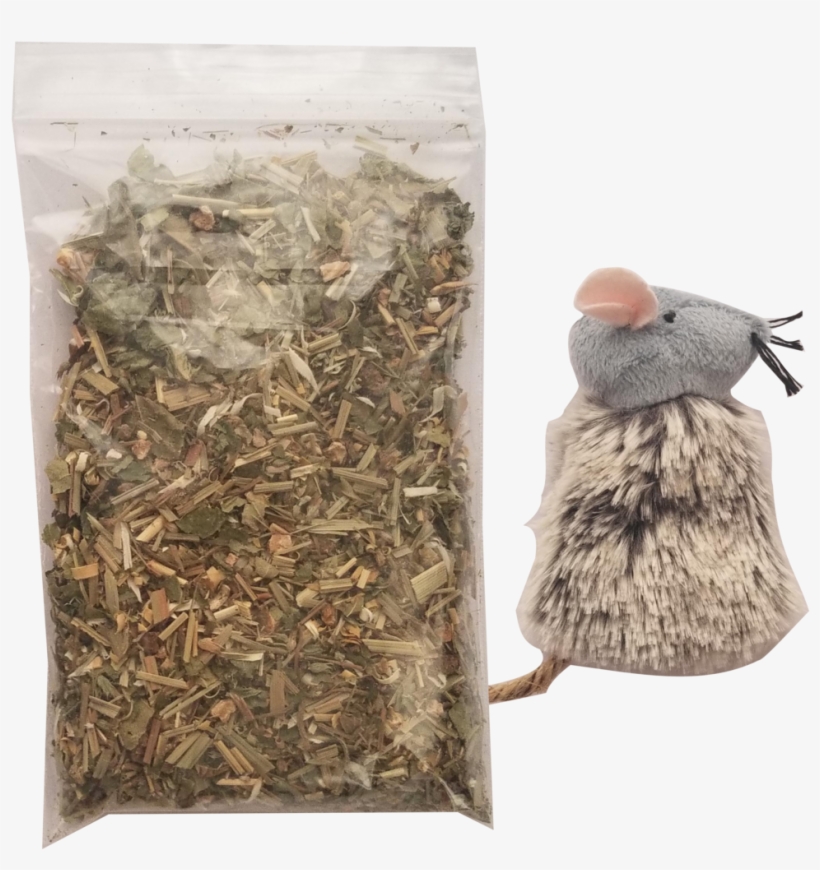 5 In 1 Complete Cat Drug Blend - Catnip - Free Transparent PNG Download ...