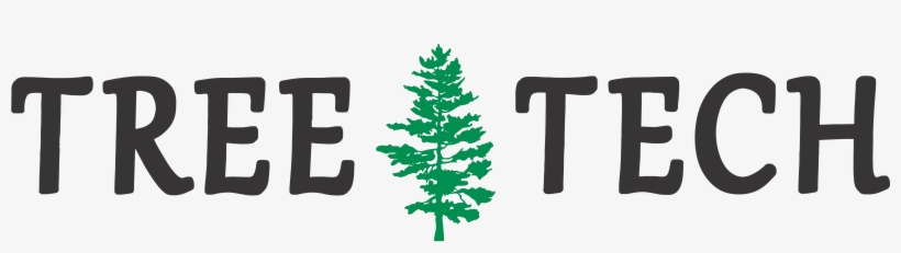 Tree Tech - White Pine - Free Transparent PNG Download - PNGkey