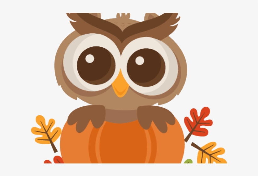 Pumpkin Owl Clipart