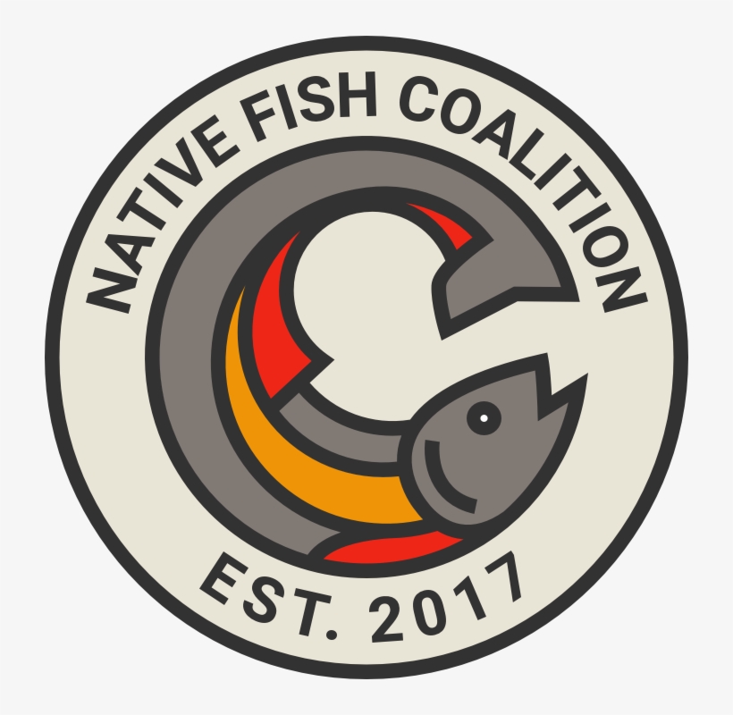 Doctor Snake Logo Png - Free Transparent PNG Download - PNGkey