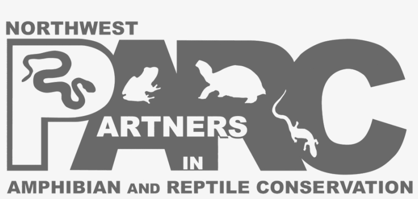 Doctor Snake Logo Png - Free Transparent PNG Download - PNGkey