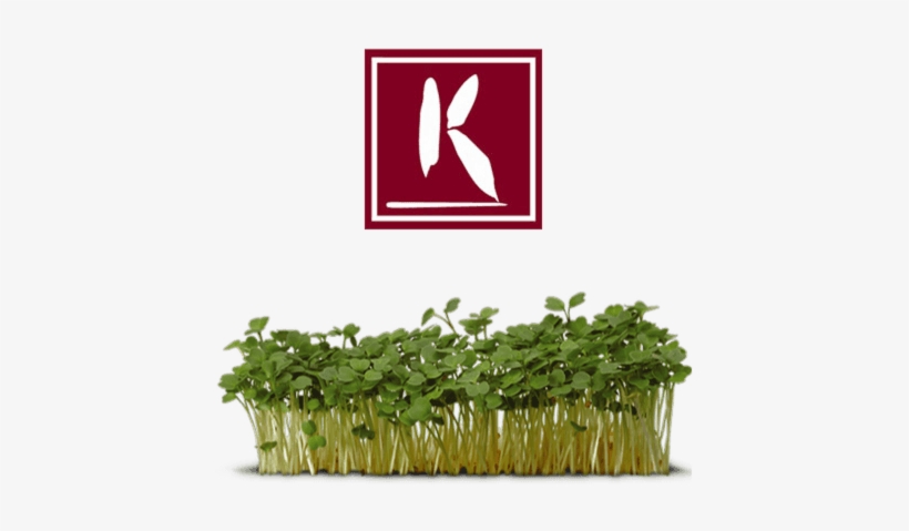Koppert Cress Specializes In Cresses And Seedlings - Logo Koppert Cress ...
