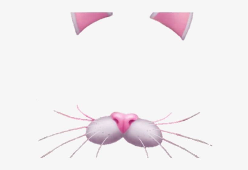Snapchat Filters Clipart Snap Chat - Snapchat Cat Filter Png - Free ...