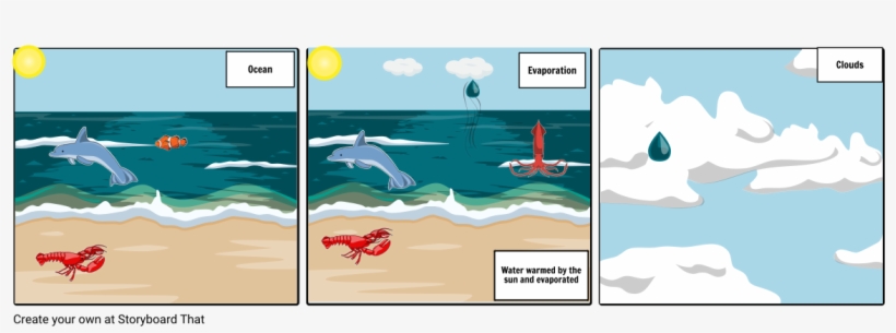 Water Cycle - Cartoon - Free Transparent PNG Download - PNGkey