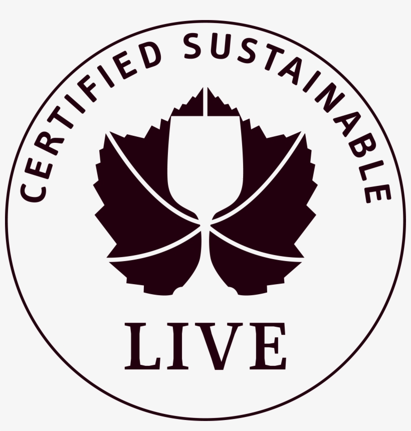 Sustainability - Free Transparent PNG Download - PNGkey