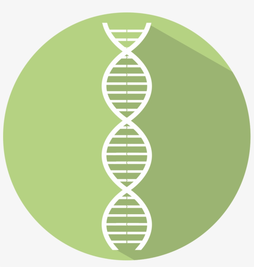 Jul 26 Ngene - Free Transparent PNG Download - PNGkey