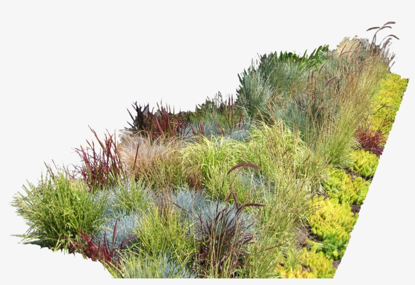 Vegetation Png - Free Transparent PNG Download - PNGkey