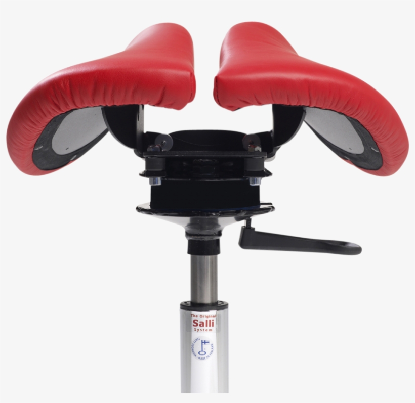 Salli Swing - Rear View - Salli Swing - Free Transparent PNG Download - PNGkey