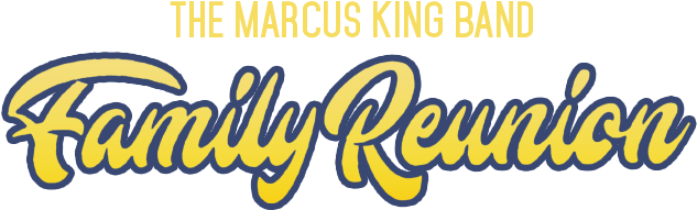 Family Reunion Transparent - Free Transparent PNG Download - PNGkey