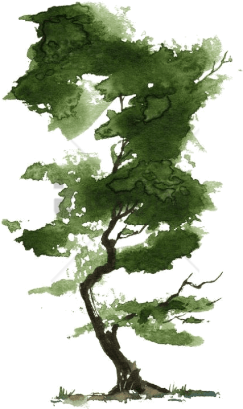Download Little Watercolor Trees - Watercolor Tree PNG Image with No ...