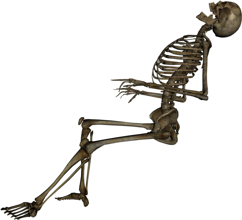 Download Free Png Skeleton, Skull Png Images Transparent - Skeleton Png ...
