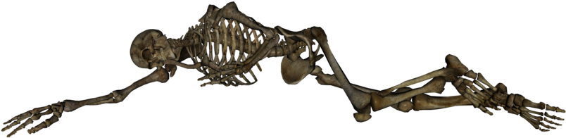 Download Free Icons Png - Lying Skeleton Transparent PNG Image with No ...