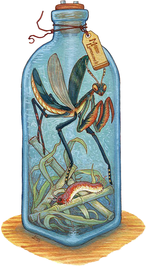 Download Legendary Creature Drawing Bottle Watercolor Painting ...