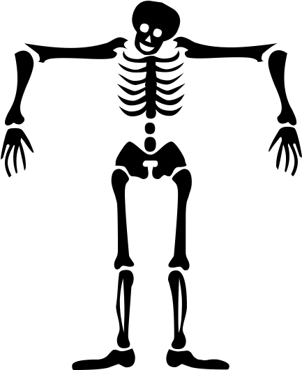 Download Halloween Skeleton Vector Free Png Background Image - X-ray ...