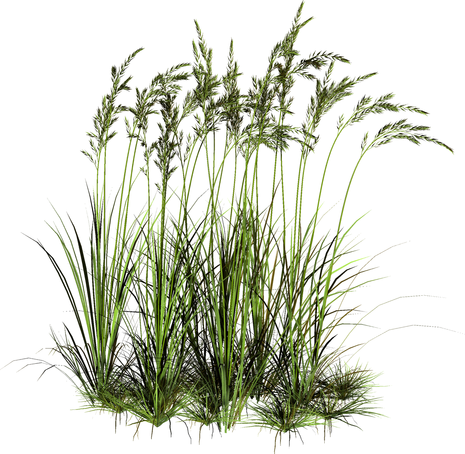 Roblox Grass Png