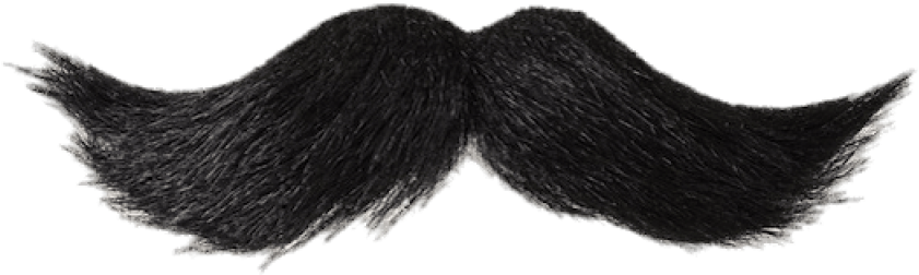 Realistic Moustache Png