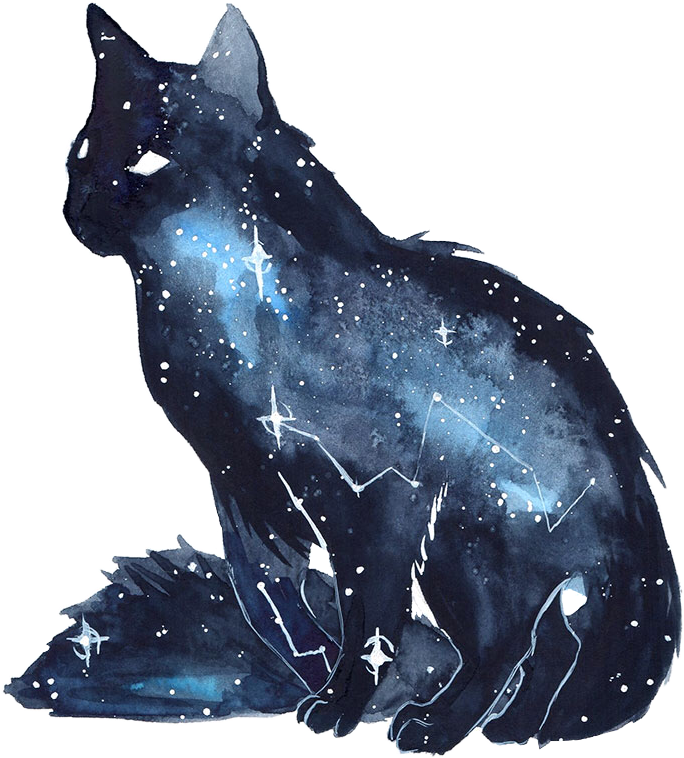 Cat Kitten Galaxy Watercolor Space Stars Freetoedit - Galaxy Animals ...