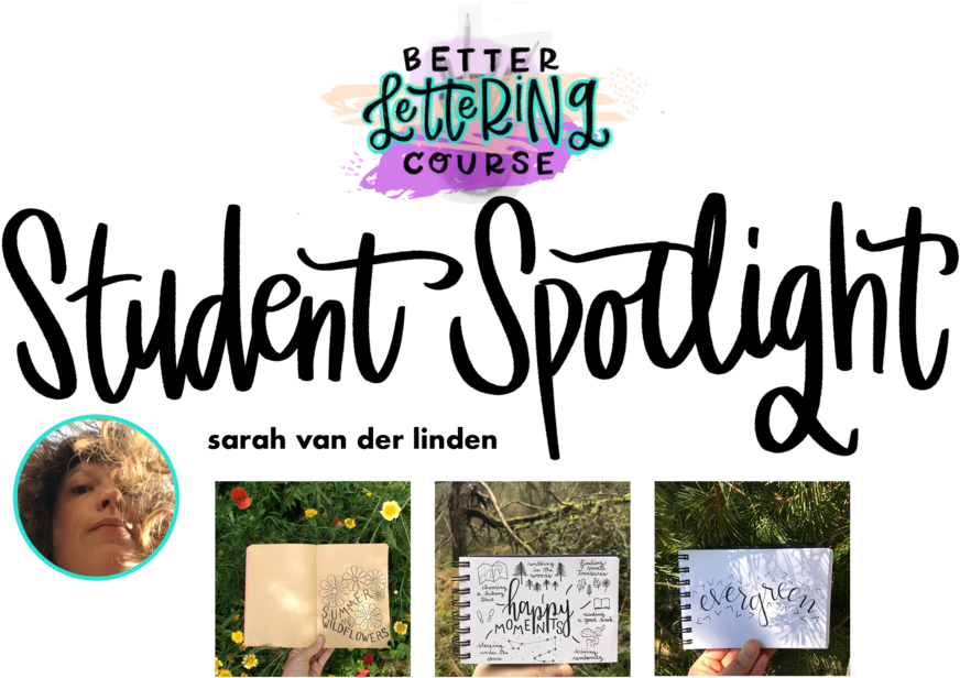 Download Svdl Student Spotlight Header - Turnip PNG Image with No ...