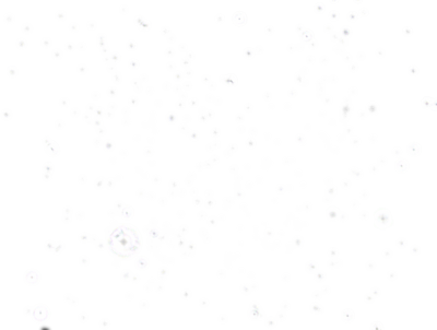 White Stars Psd, Vector File - Monochrome - Free Transparent PNG ...