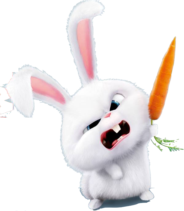 Snowball's Carrot - Bunny The Secret Life Of Pets - Free Transparent ...