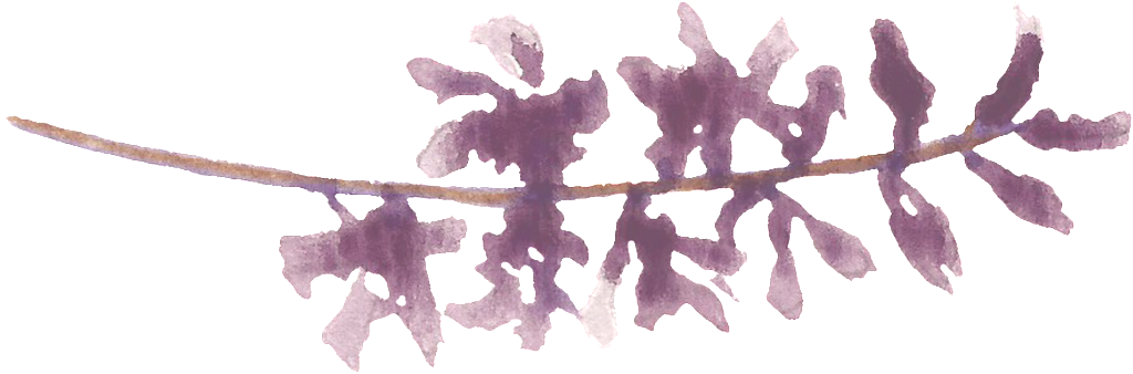 Download Purple Water Sprig Cartoon Transparent - Water PNG Image with ...