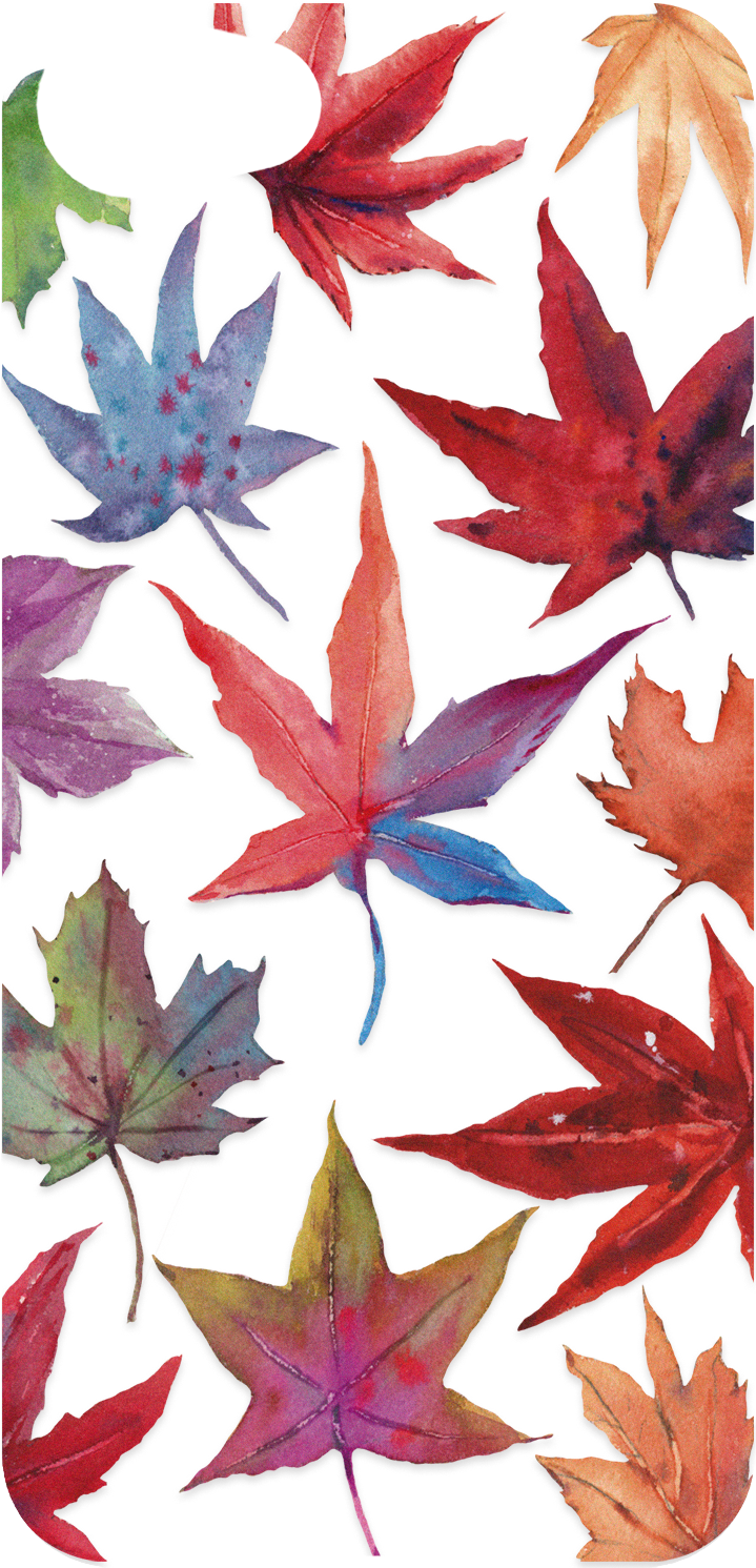 Backplate 3pb0100126l B048 V=1511158487 - Polar Bear - Free Transparent ...