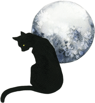 Cat And Moon - Black Cat - Free Transparent PNG Download - PNGkey