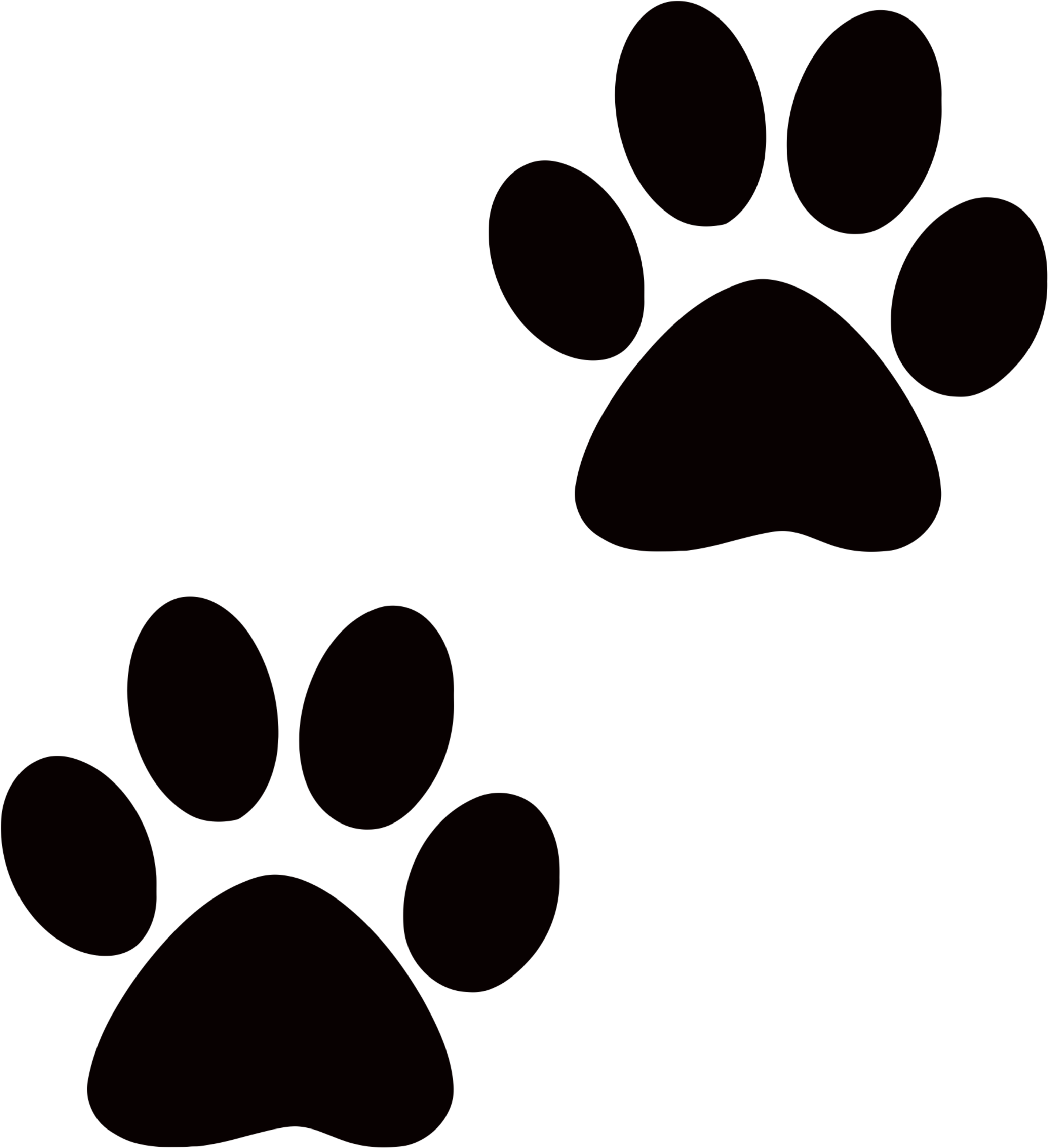 Download 28 Collection Of Paw Print Clipart Transparent Background ...