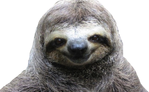 Vector Free Library Collection Of Free Download On - Sloth Transparent ...