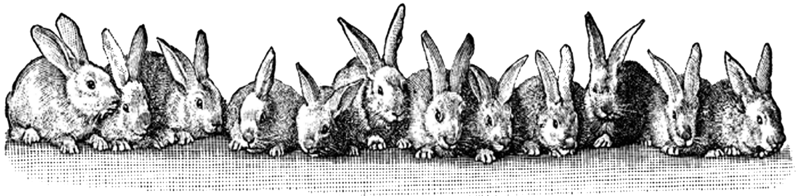 Download 3 > Easter Bunnies In A Row Free Easter Clip Art - Vintage ...