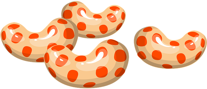 Download Candy Candies Sweet Colorful Sugar Food Or - Jack And The ...