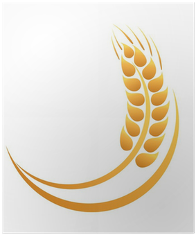 Wheat - Free Transparent PNG Download - PNGkey