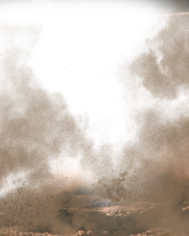 Dust Partical Png 2 Download - Tree - Free Transparent PNG Download ...